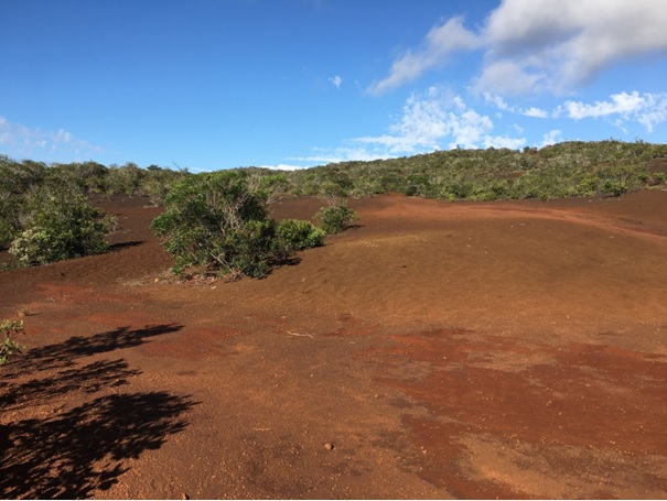 Quand l’histoire géologique dessine le vivant : la saga de la flore de ...